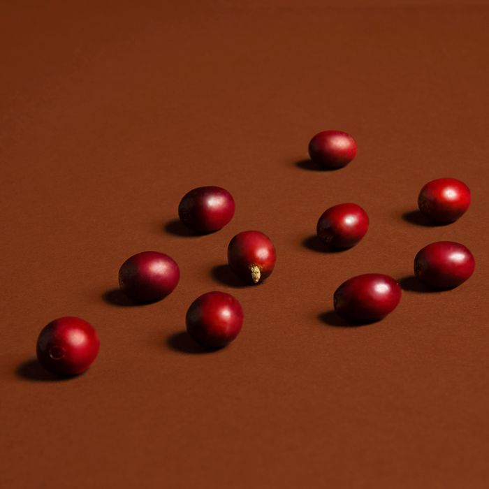 Analyse pour contrôler le Processus de Fermentation dans la ...