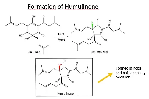 Controllo di qualità nel processo di produzione della birra: gli ...