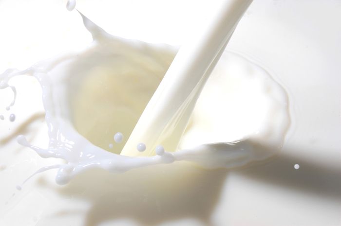 Milk testing: chemical analysis of lactic acid in milk | CDR FoodLab®
