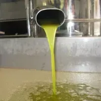 Extra virgin olive oil quality and the transformation process | CDR ...